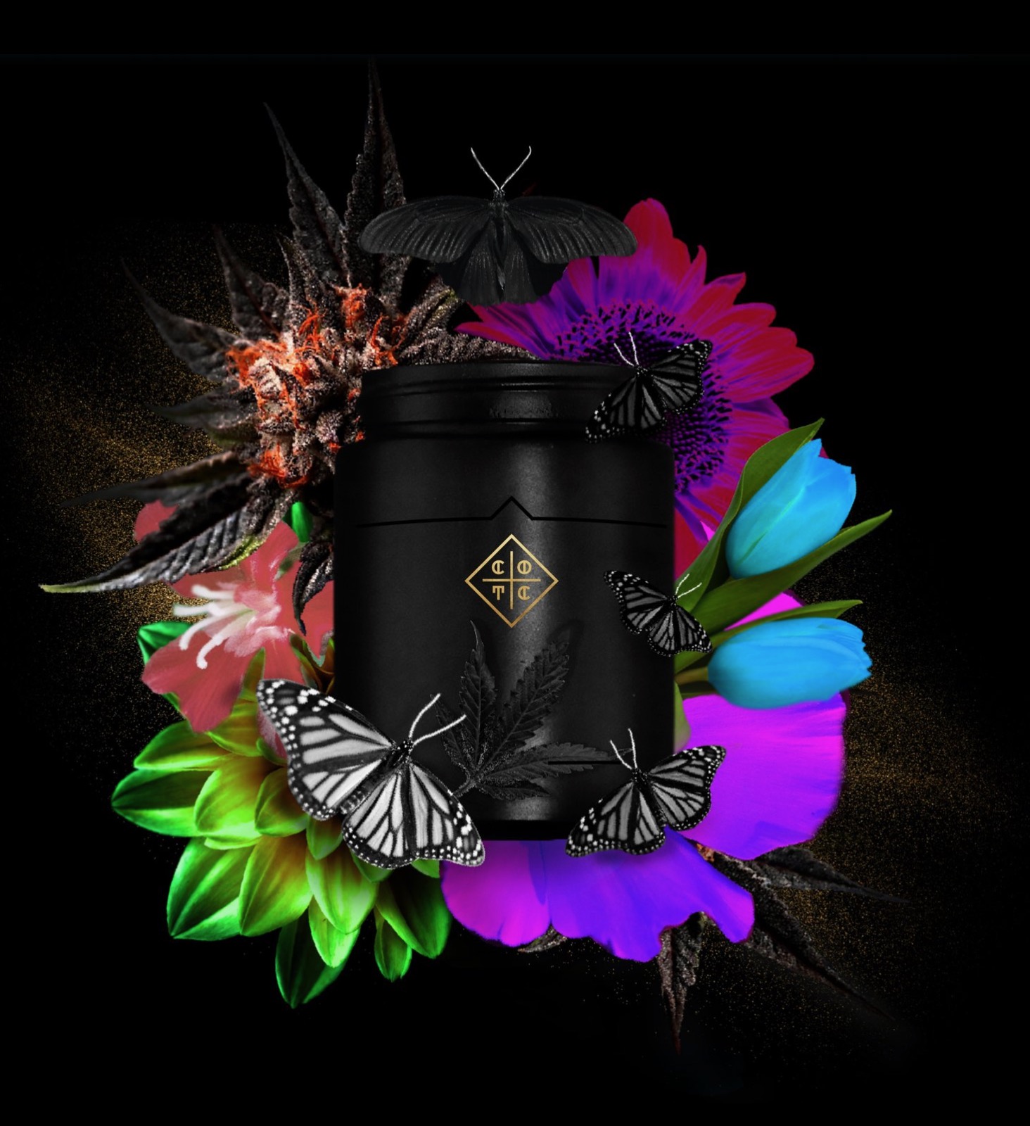 Cream of the Crop - Crop's Pop - San Diego Cannabis Times